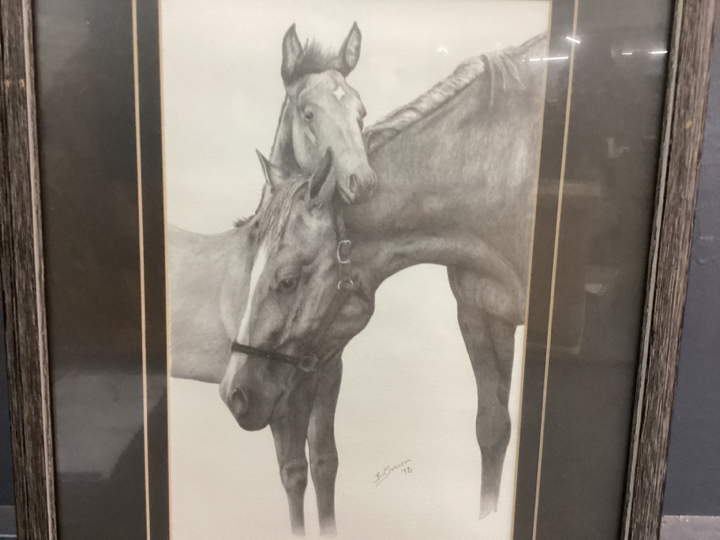 PENCIL SKETCH HORSE & FOAL. PICTURE BY BILL SWENSON